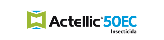 Actellic® 50 CE | Productos Insecticida | Syngenta PPM
